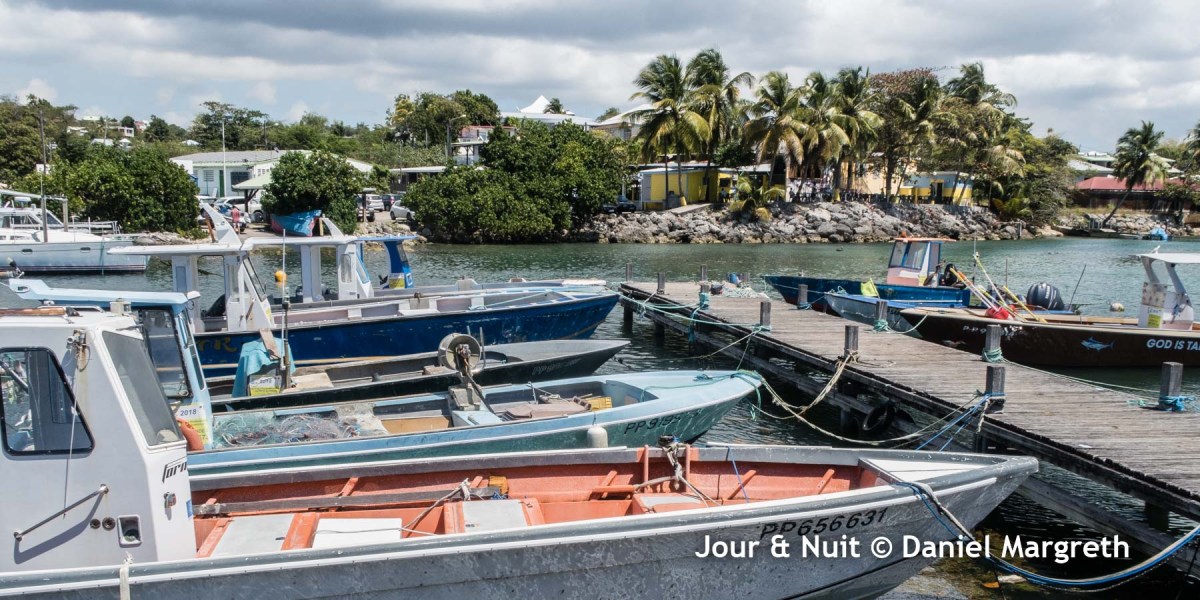 Jour et Nuit. Des nouvelles d'ici et d'ailleurs. Port St Félix et ses ...